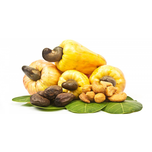 Cashew Fruit Anacardium Occidentale Red Cashew Apple Seeds