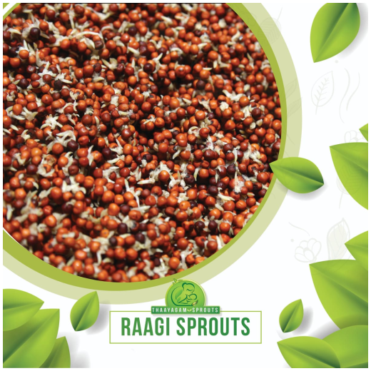 Sprouted Pulses